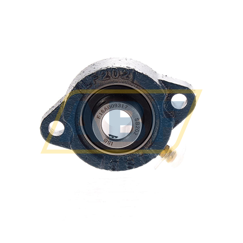 SBLF202 ISB • ABF Store