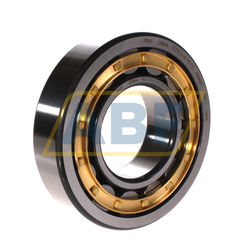 NU313-E-XL-M1-C3 FAG • ABF Store