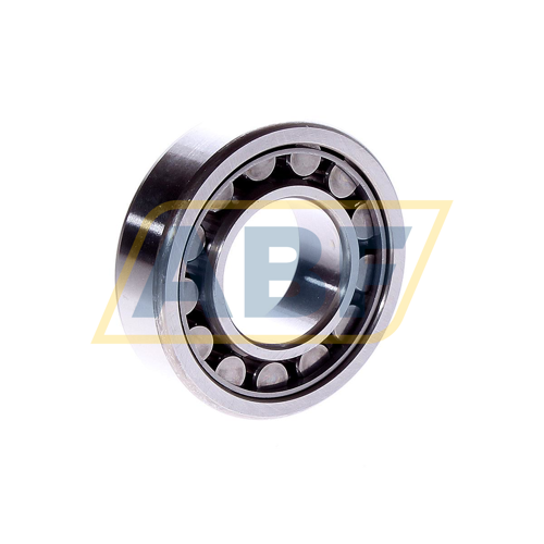 NU205EW NSK • ABF Store