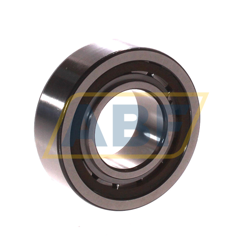 BC1-0313 SKF • ABF Store