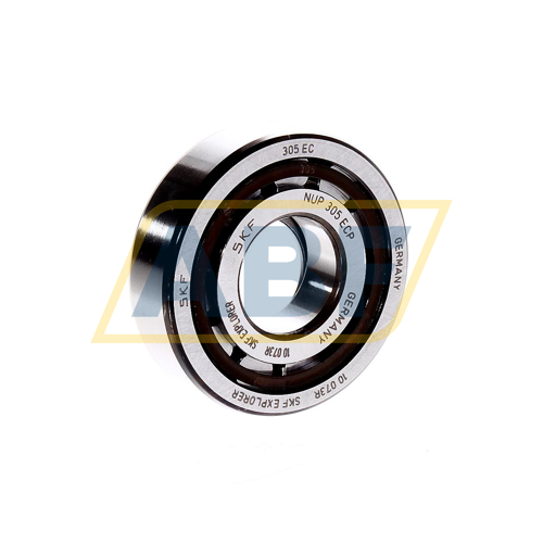NUP305ECP SKF • ABF Store
