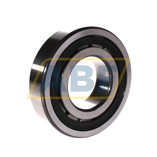 NJ313-E-XL-TVP2 FAG • ABF Store